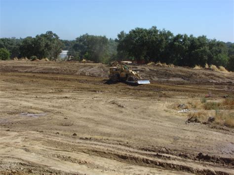 Image result for Discus Sector