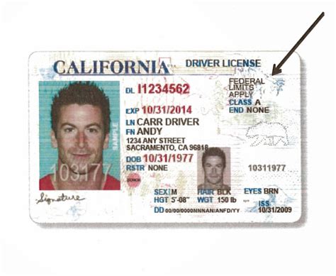 Image result for License Card Code 10