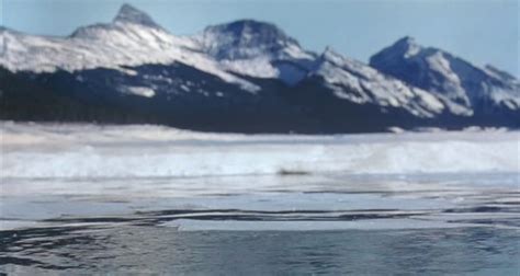 Image result for Snow Dogs Animation