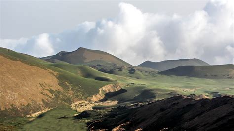 Image result for Python Buea Cameroon