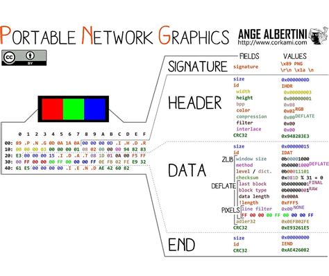 Image result for Digital Video File Format