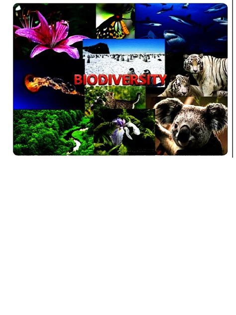 Image result for Biodiversity Science Projects