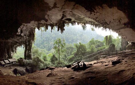 Image result for Weathering Definition Science