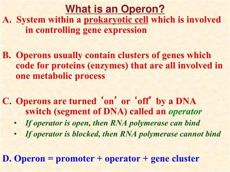 Image result for Operon