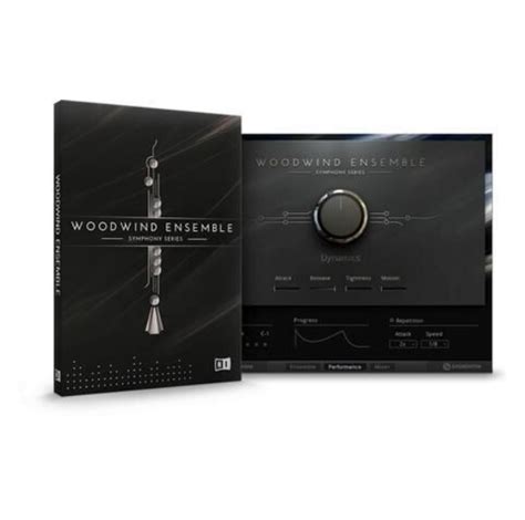 Image result for Strings Ensemble Native Instruments