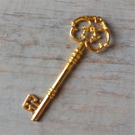 Image result for Lock Large Skeleton Key