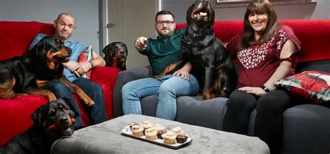 Image result for Watch Gogglebox