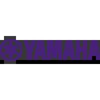 Image result for Yamaha 6Yc Tutorial