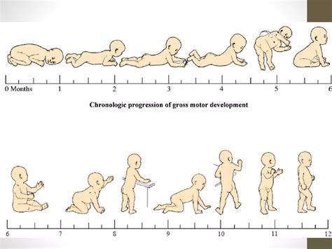 Image result for Perceptual Development Definition