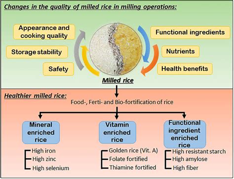 Image result for Chapter 12 Milled Rice