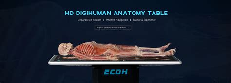 Image result for Virtual Human Body Dissection