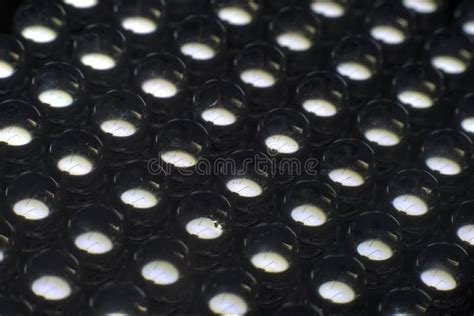Image result for LED Matrix High Quality Image
