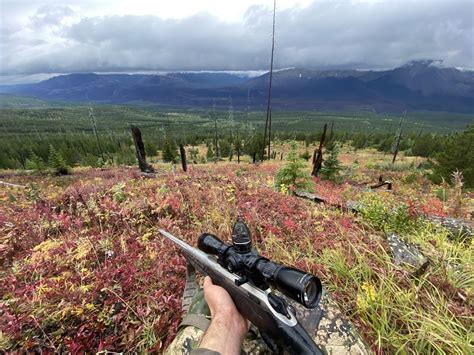 Image result for Vortex Razor HD