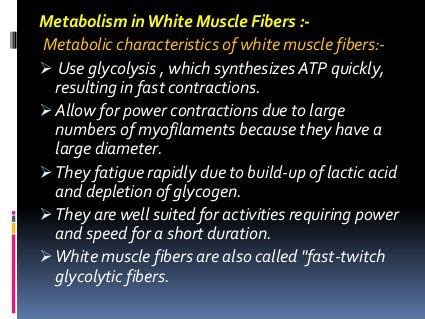 Image result for Isotonic Isometric Contraction