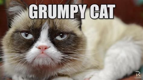 Image result for Most Famous Internet Memes