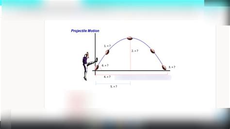 Image result for Projectile Motion Graph