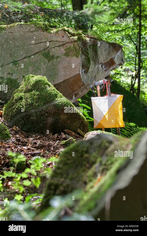 Image result for Manual Control Point Symbol