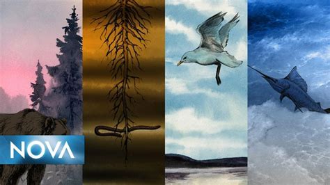 Image result for Evolution Simulator Lab