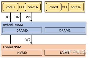 Image result for Numa Python