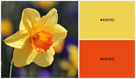 Image result for Warm Color Patterns