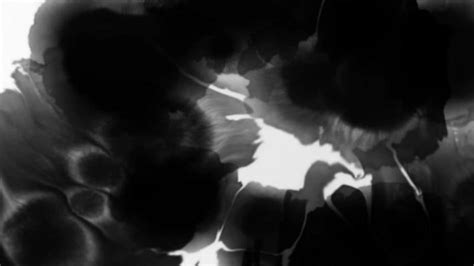 Image result for Ink Splatter High Resolution