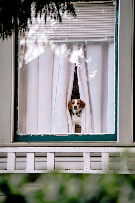 Image result for Sony A7r3 Focus Tutorial