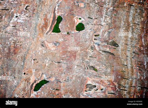 Image result for High Resolution Stone Background HD