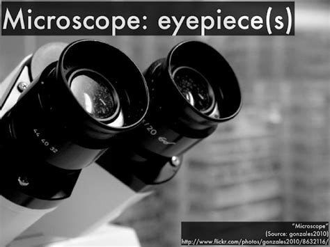 Image result for Optical Devices