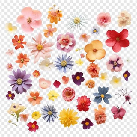 Image result for Flower Craft Different Types