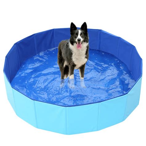 Image result for Inflatable Dog Pool