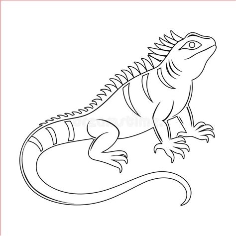 Image result for Simple Line Drawings Lizard