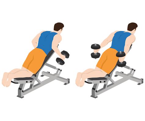 Image result for Tricep Kickbacks Form