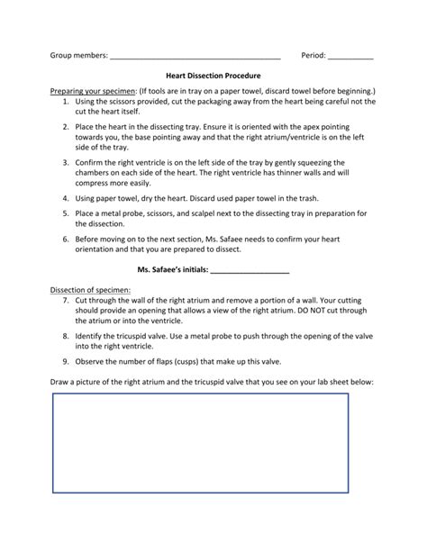 Heart Dissection Lab Procedure
