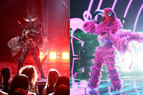 Image result for Flamingo Masked Singer Reveal
