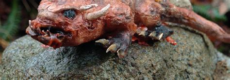 Image result for Alien Incursion 2006