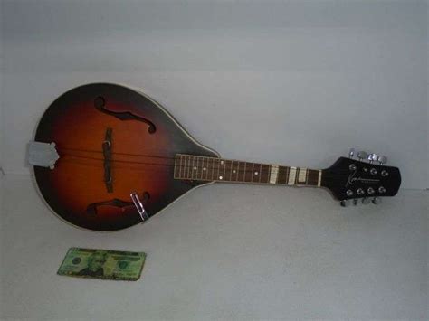 Image result for 6 String Mandolin