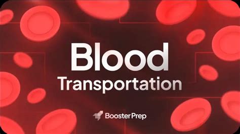 Image result for Dat Prep Course Booster