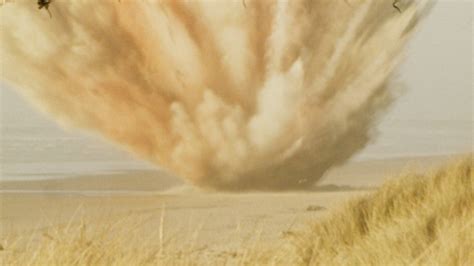 Image result for Whales Exploding When Beached