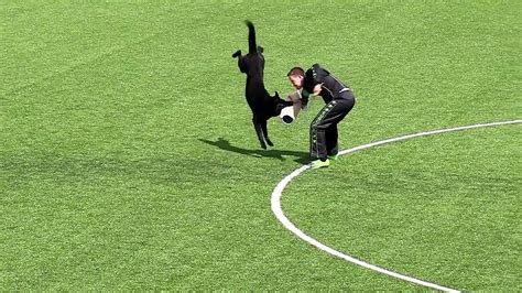 Image result for NickyHelp No