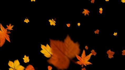 Image result for One Leaf Falling Image