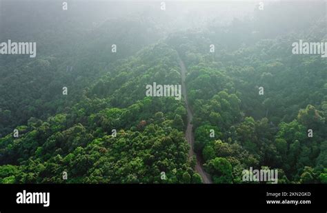 Image result for Minecraft Tree Path