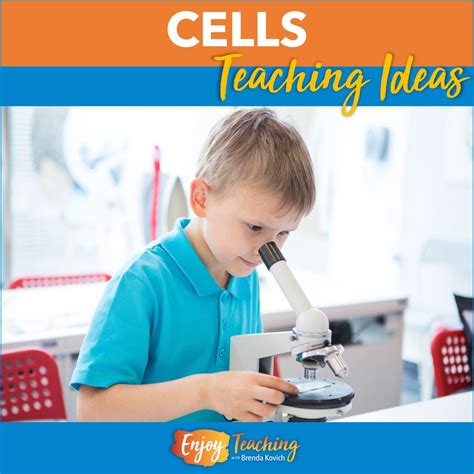 Image result for Learning Cells