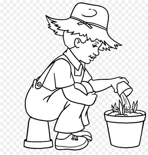 Image result for Planting a Tree Drawing