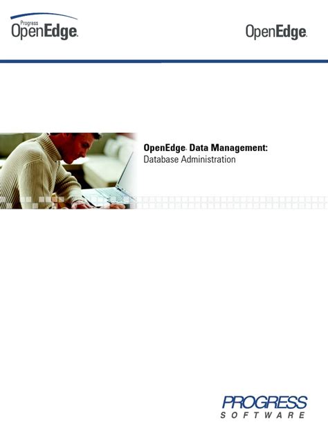 Image result for OpenEdge Database Example