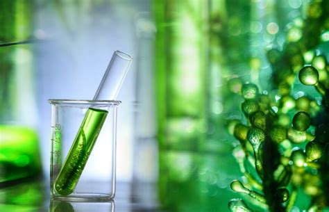 Image result for Bioethanol Refineries