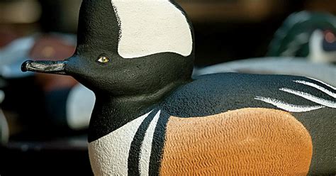 Image result for Goose Hunting Setups