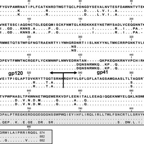 Image result for Envelope Sequence Alignment
