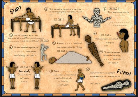 Image result for Watch a Human Embalming