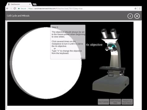 Image result for Virtual vs Real Image Microscope