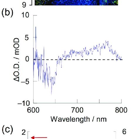 Image result for Transient Absorption Spectroscopy
